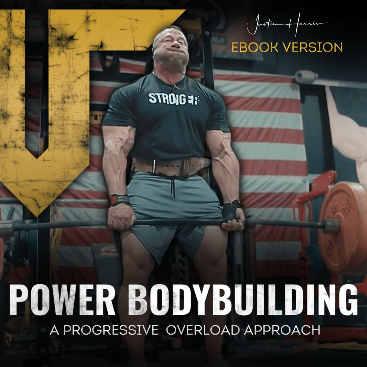 Progressive Overload-Focused Power Bodybuilding Training Program ...